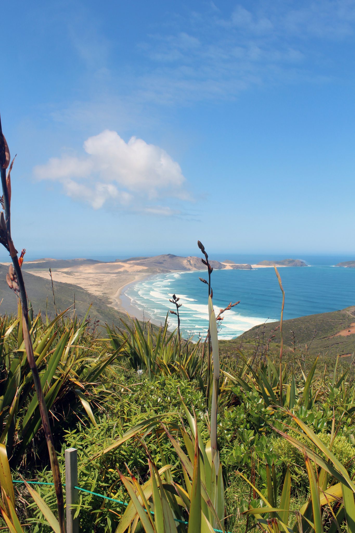 Cape Reinga | Isabel Stahl